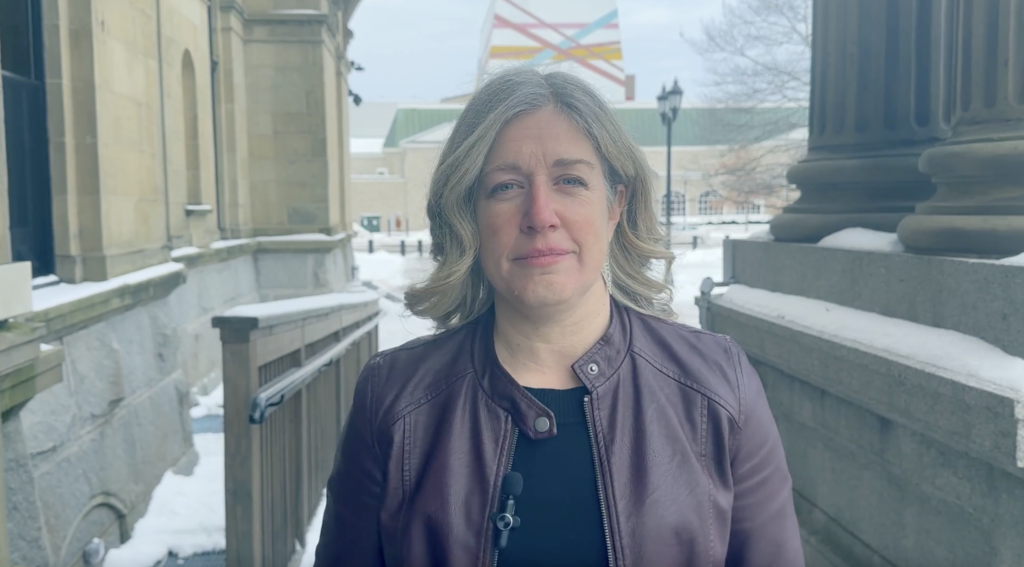 Liberals release their vision ahead of State of the Province - Liberal ...